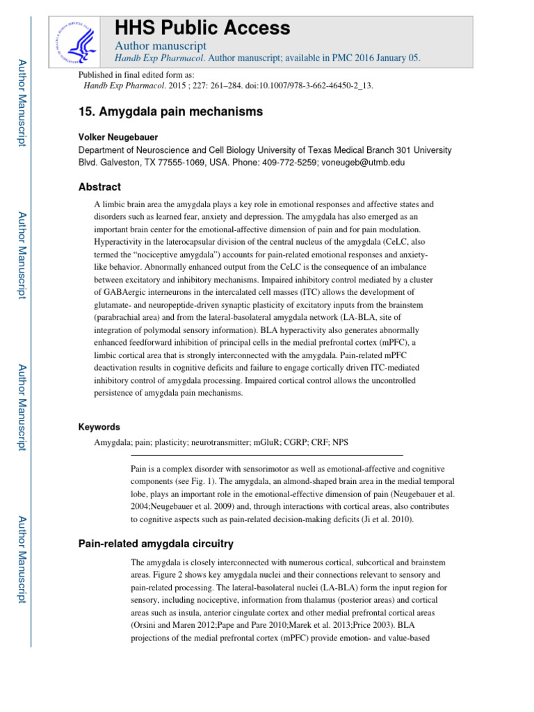 Amygdala pain mechanisms | PDF | Inhibitory Postsynaptic Potential ...
