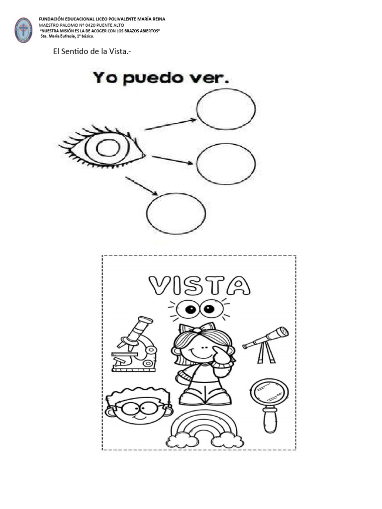 Guía Los Cinco Sentidos | PDF