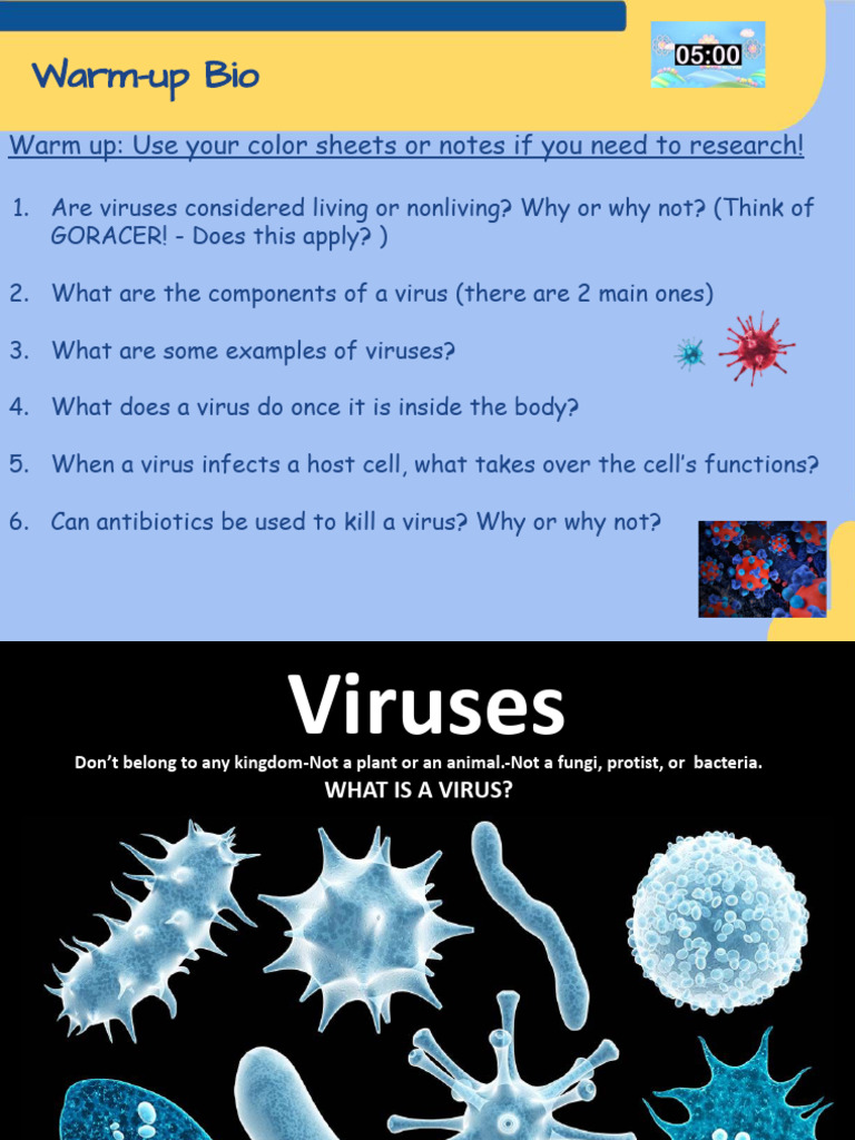 Bacteria and Virus Overview Notes | PDF | Virus | Bacteria