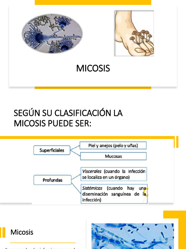 Clasificación y tipos de micosis | PDF | Enfermedades y trastornos ...