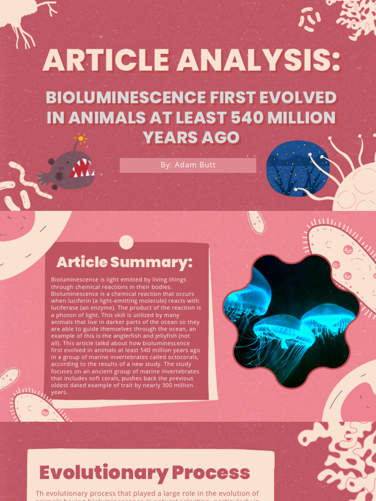 Biology Project | PDF | Biological Evolution | Biology