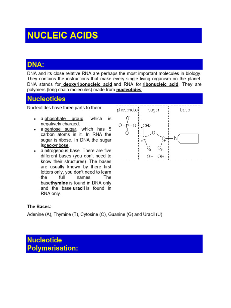 lecture_5_-_nucleic_acids_dna_genetic_code_transcription__translation | PDF | Dna | Rna