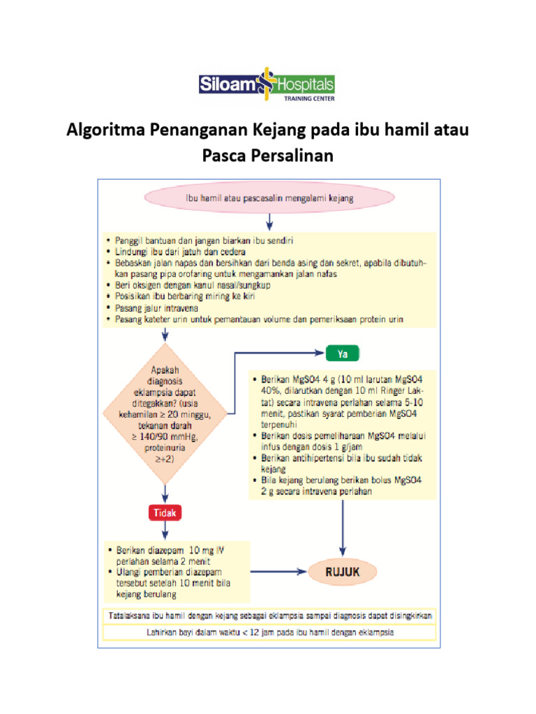Algoritma Penanganan Kejang Pada Ibu Hamil Atau Pasca Salin | PDF ...