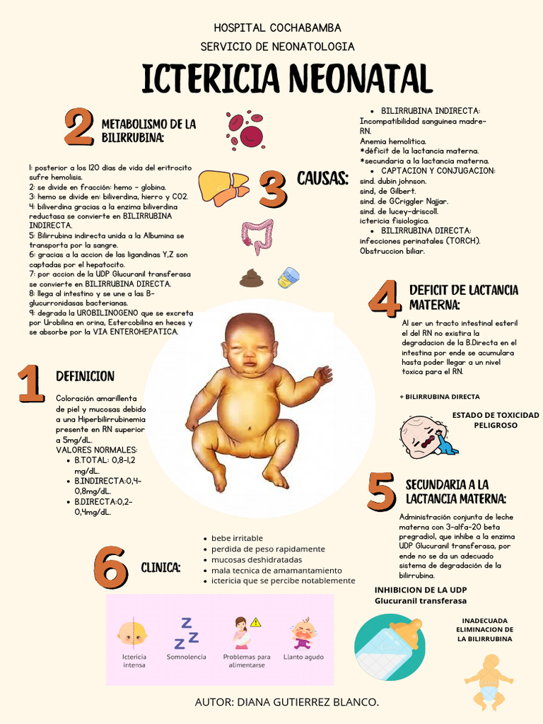 Fisiopatología de la Ictericia Neonatal | PDF | Especialidades Medicas