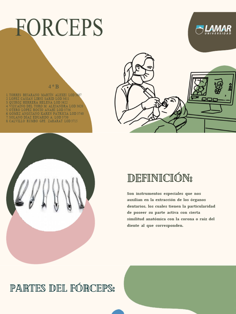 Tipos y usos de fórceps dentales | PDF | Diente | Odontología