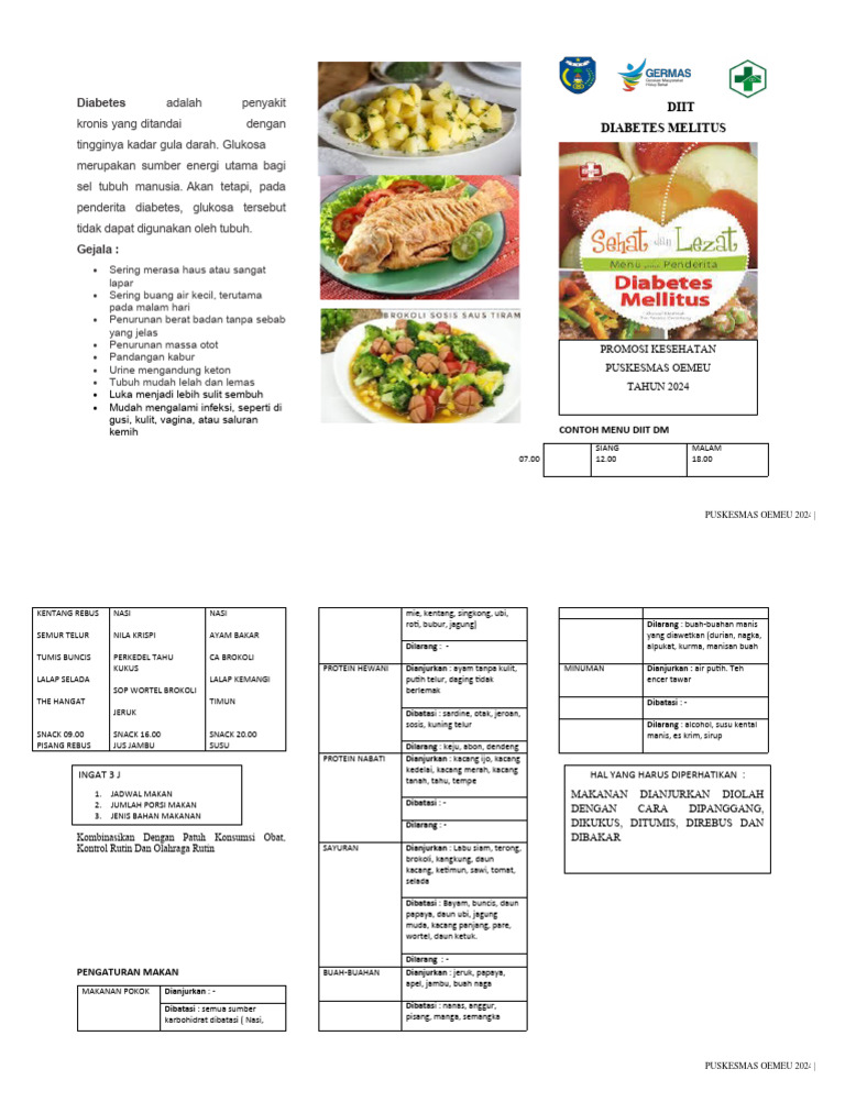Contoh Menu Diit Dm | PDF