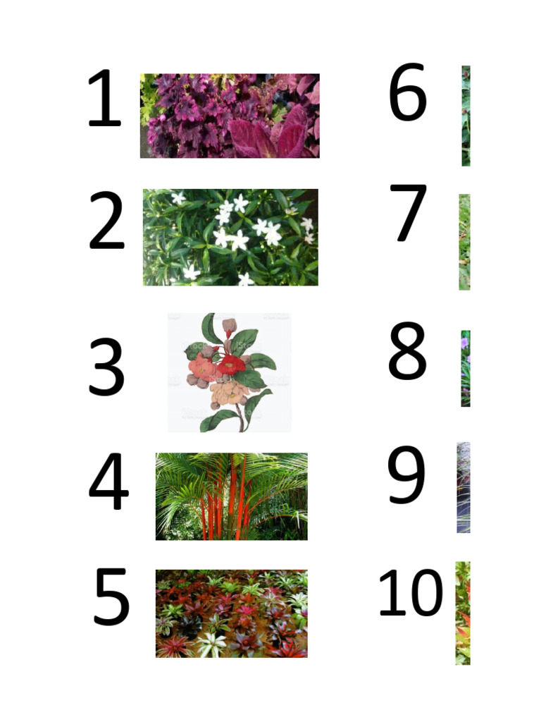 Layout Taman Tiap Gedung | PDF | Foreign Language Studies | Science & Mathematics