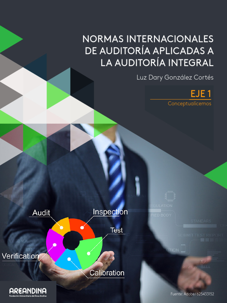 Eje 1 NIA 1 | PDF | Auditoría | Contador