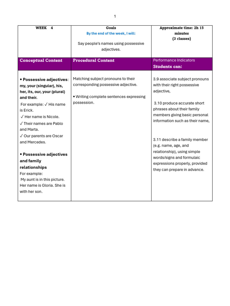 Lesson Plan: Possessive Adjectives | PDF | Adjective | Pronoun