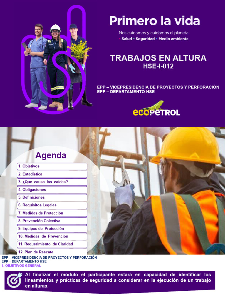 EPP HSE Trabajos en Altura | PDF | Primeros auxilios | Conector eléctrico
