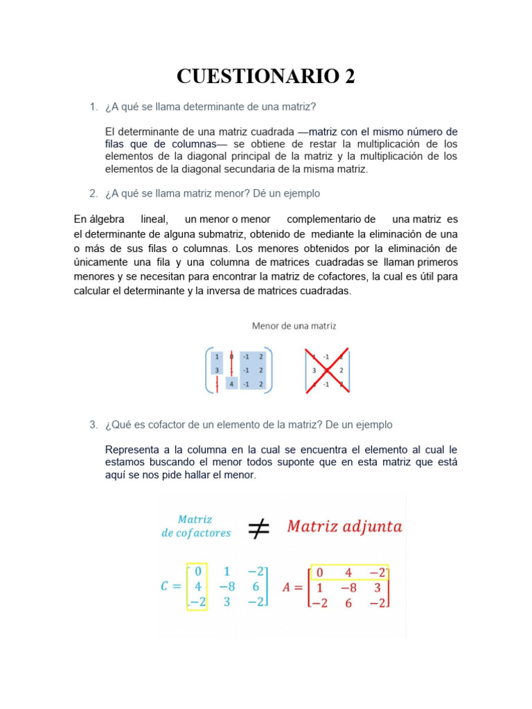 Cuestionario 2 | PDF | Matriz (Matemáticas) | Determinante