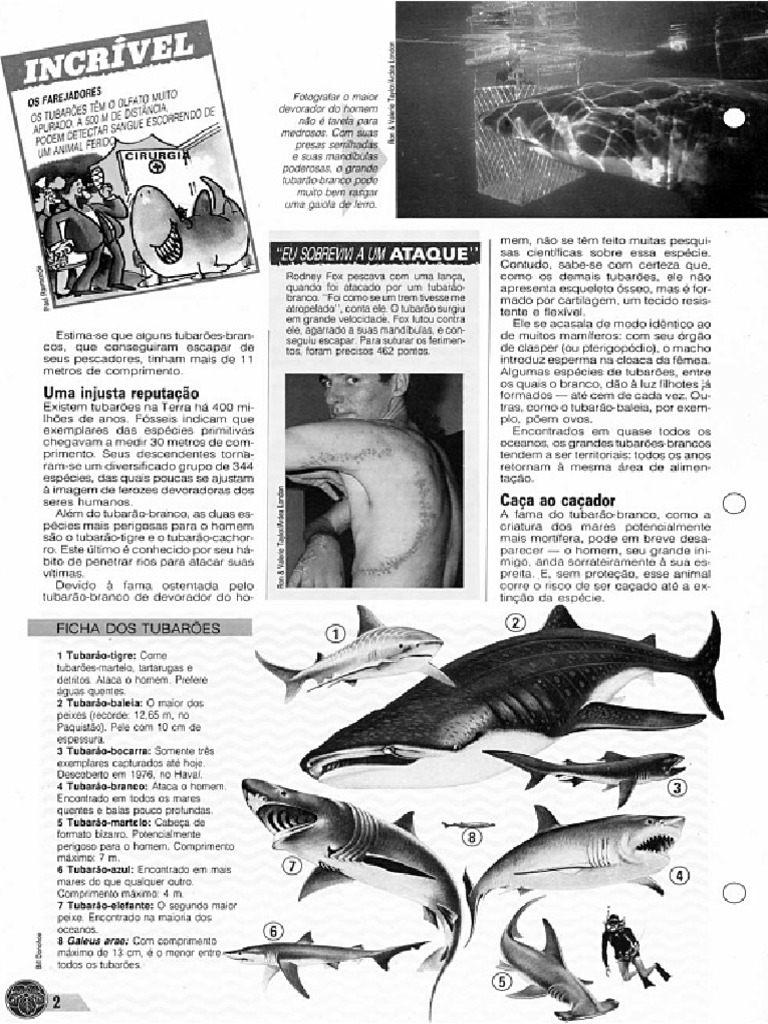 Descobrir - Uma.Aventura - No.Mundo - Desconhecido-8 | PDF