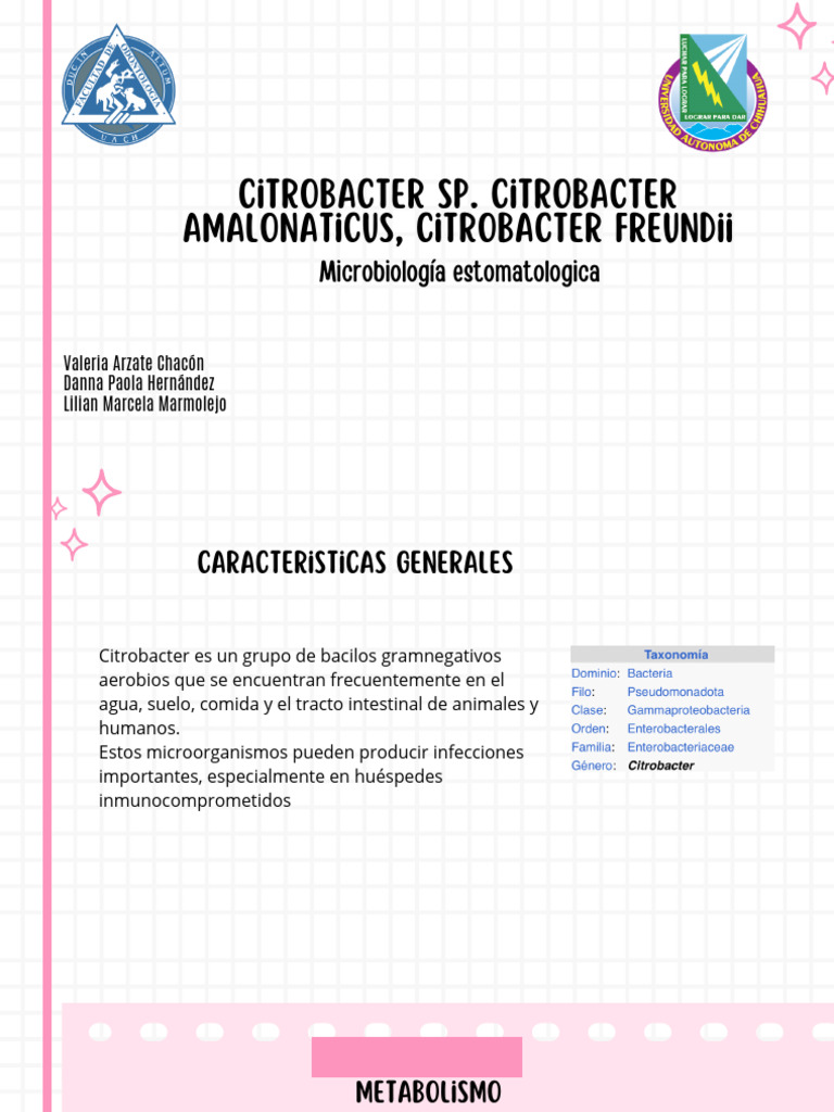 Citrobacter: Características y Enfermedades | PDF | Ciencia y matemáticas | Tecnología