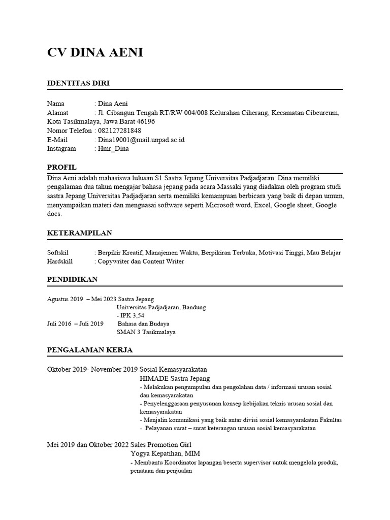 CV Dina - Aeni | PDF