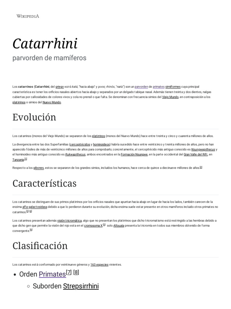 Catarrhini - Wikipedia, La Enciclopedia Libre | PDF | Taxonomía de ...