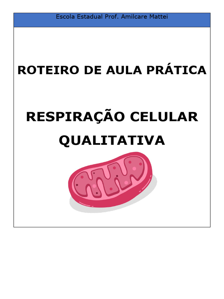 Experimento de Respiração Celular | PDF | Respiração | Fotossíntese