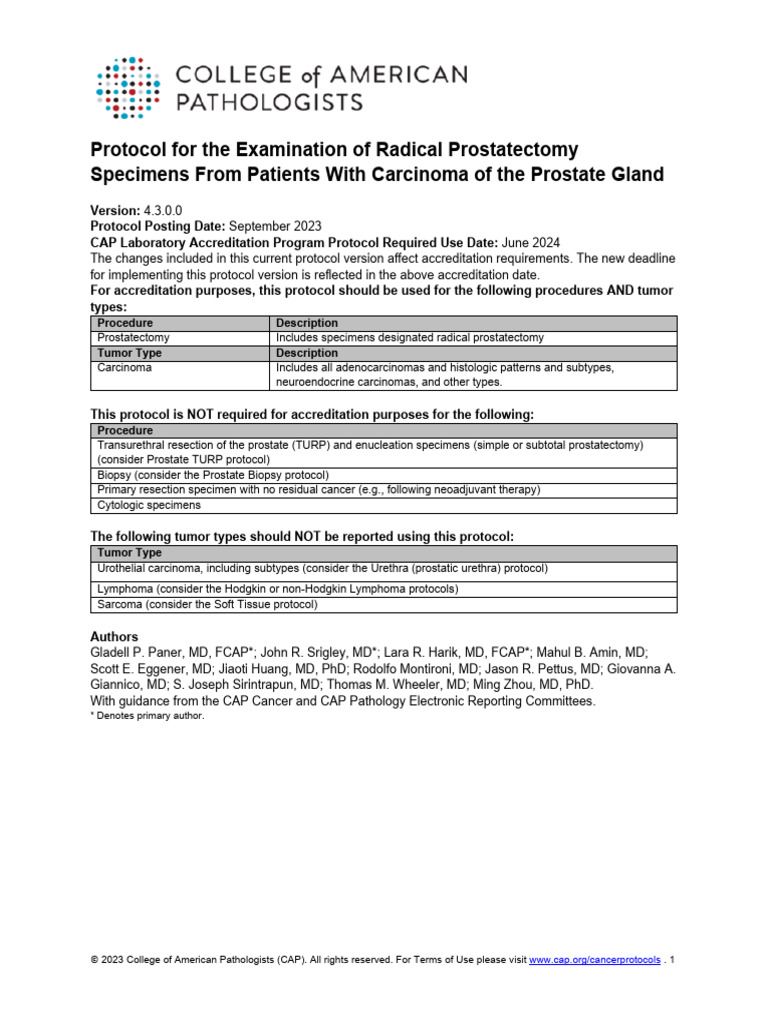 Prostate Carcinoma Radical Prostatectomy Protocol | PDF ...