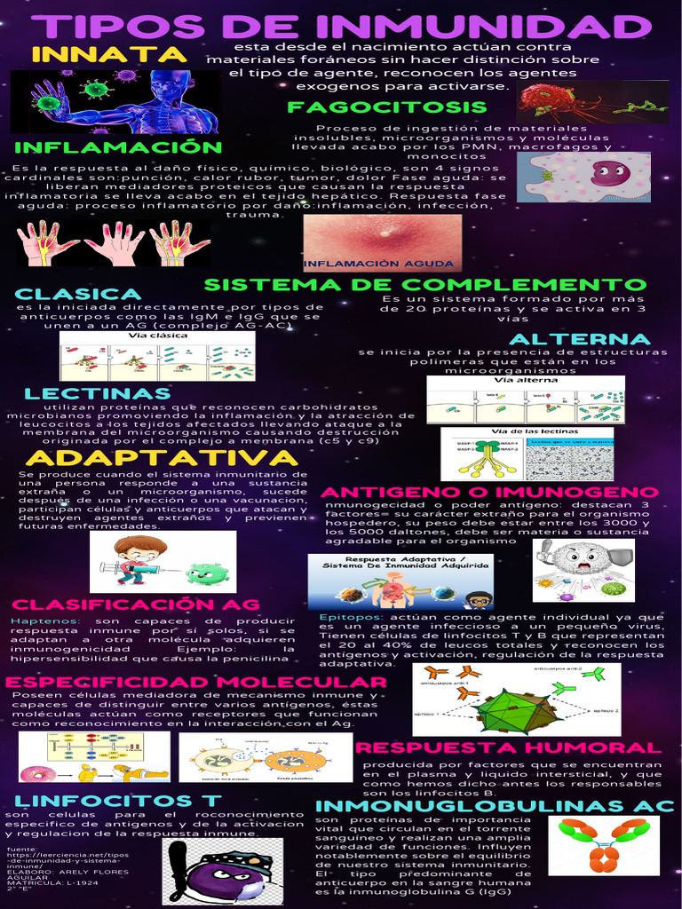 Tipos de Inmunidad - Infografia.arely | PDF | Sistema inmune | Inflamación