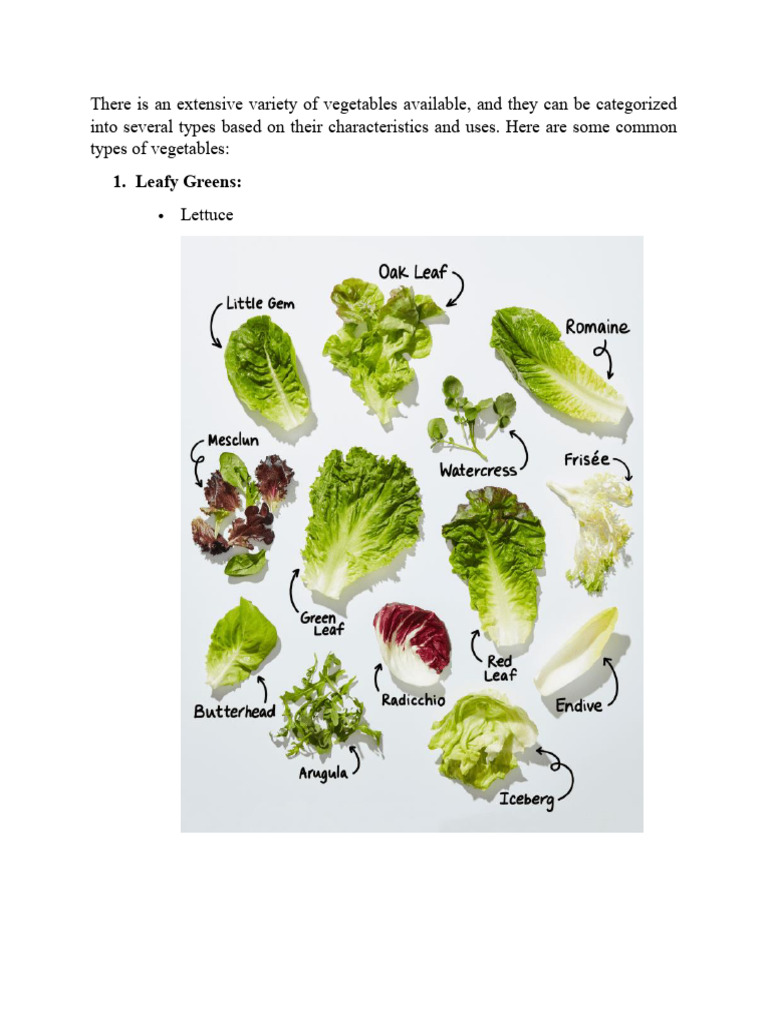 Types of vegetable | PDF | Vegetables | Cucurbita