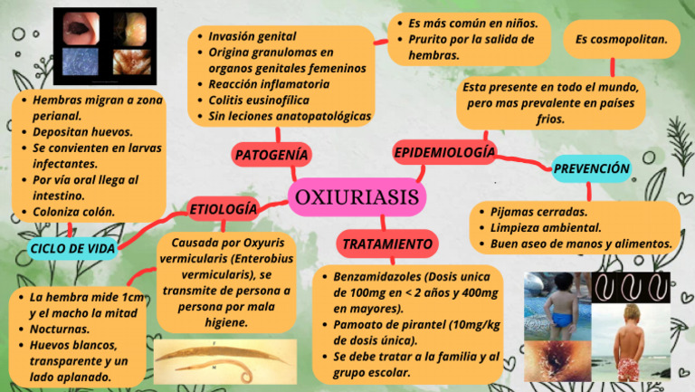 OXIURIASIS | PDF