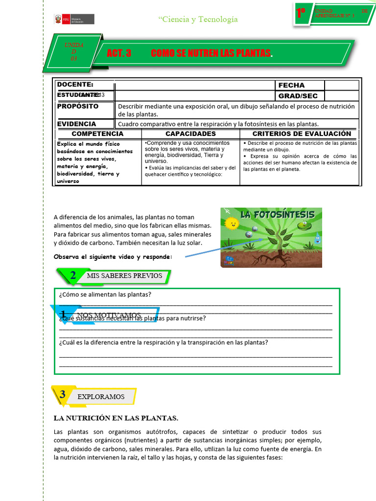 1º Act 3 Cyt Unid 3 - Sem 2. | PDF | Plantas | Raíz