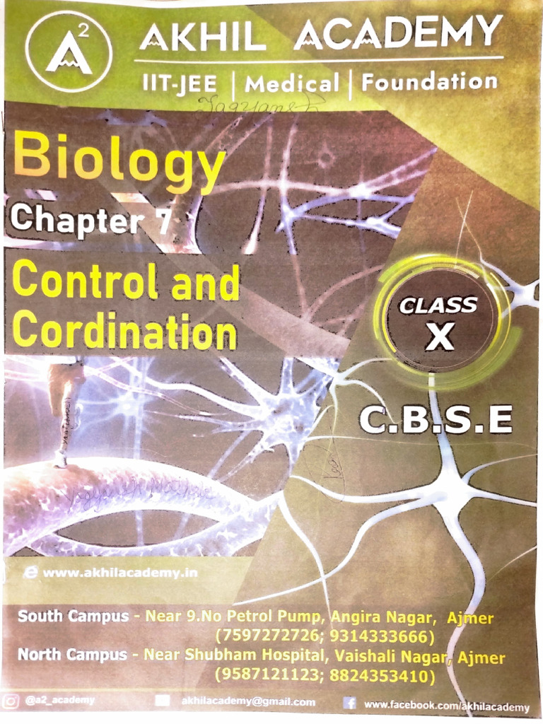 Control and Cordination Notes A | PDF | Nervous System | Central ...
