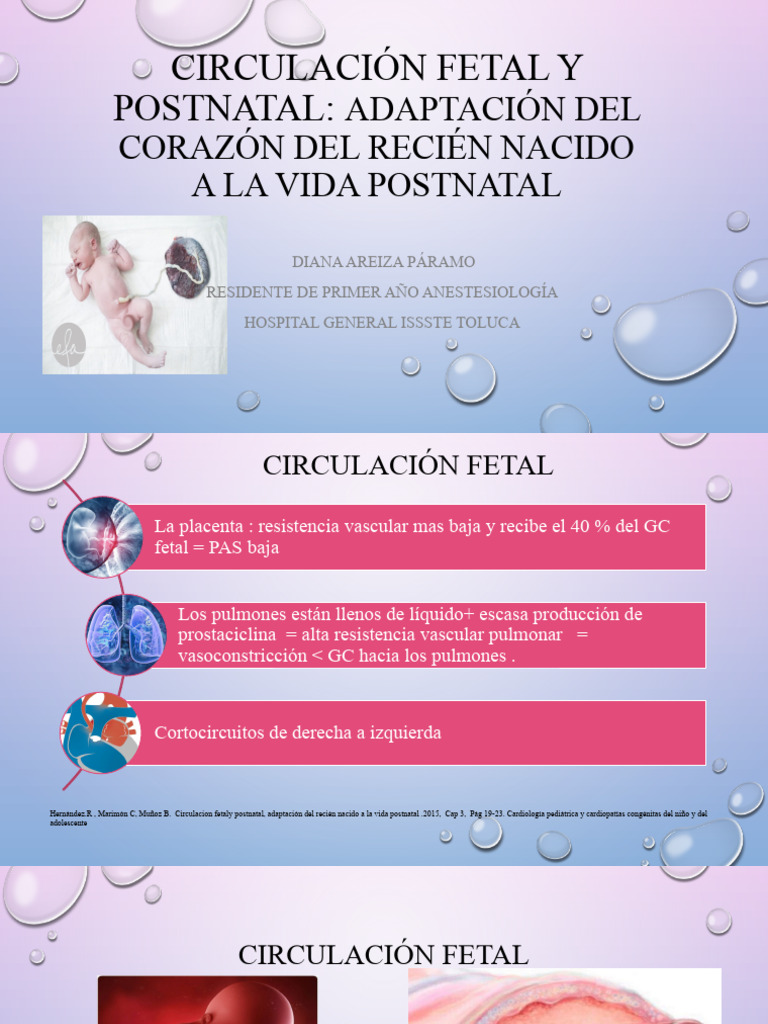 Circulación Fetal y Postnatal | PDF | Especialidades Medicas | Sistema ...