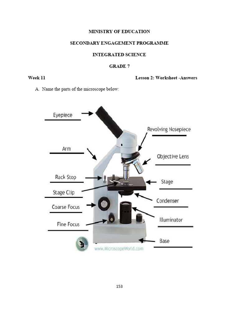 Answer Grade 7 Integrated Science Microscope Worksheet-2 | PDF