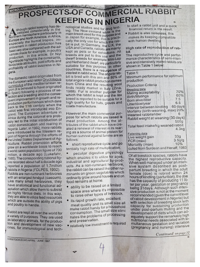 Prospects of Commercial Rabbit Keeping in Nigeria | PDF