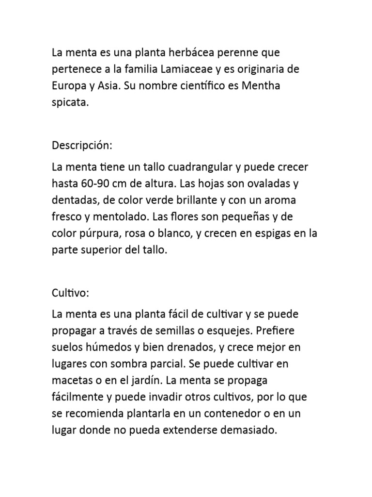 Guía Completa sobre la Menta | PDF