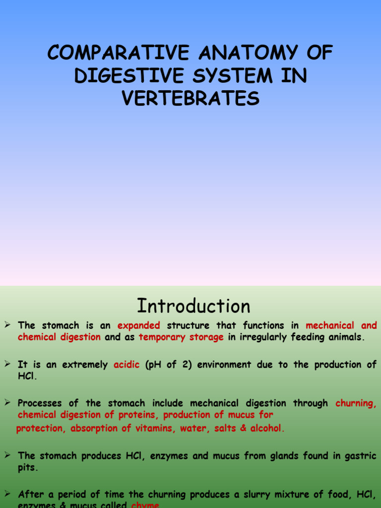 Comparative Anatomy of Digestiv System in Vertebrates | Download Free ...