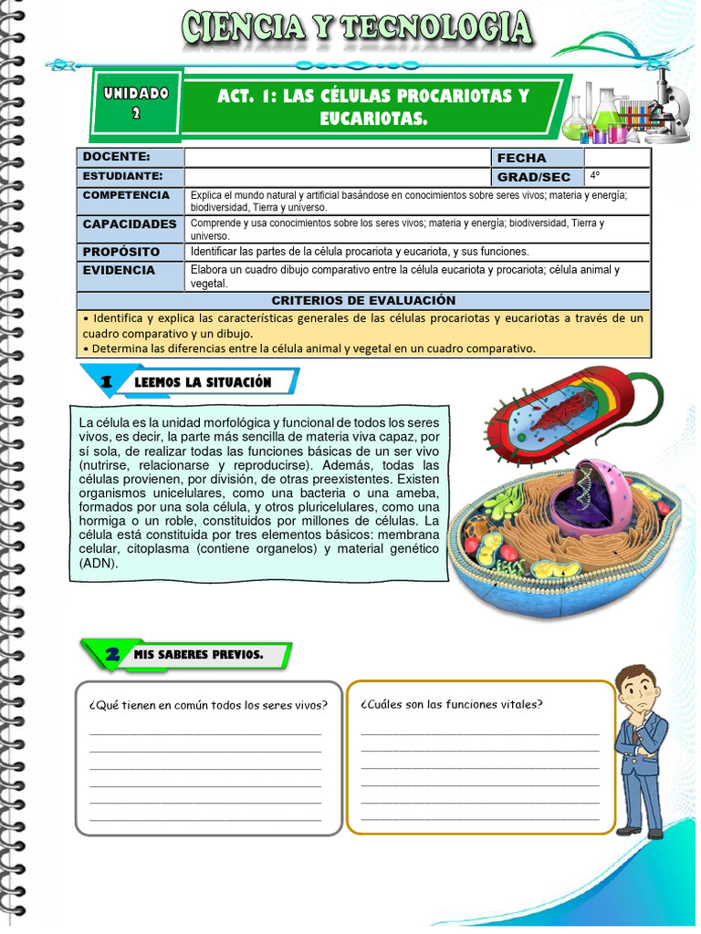 A-4º Act 1-Cyt-Und 2 - Sem 1 | PDF | Biología Celular) | Eucariotas