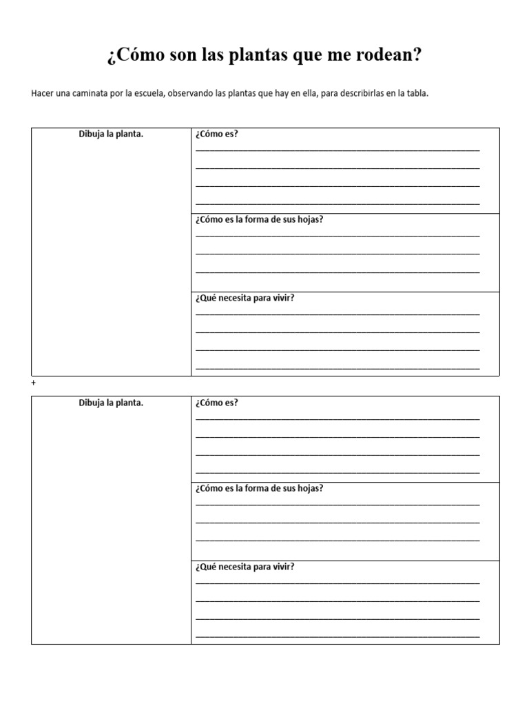 Observación de Plantas en la Escuela | PDF