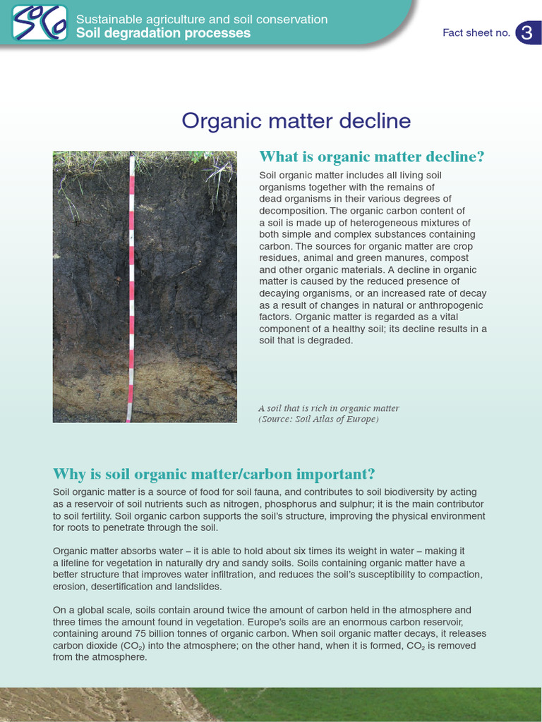 Organic Matter Degraded in Which Condition | PDF | Soil | Organic Matter
