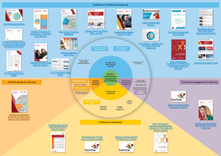 Literacy and Numeracy Teaching Excellence | PDF | Literacy | Human ...