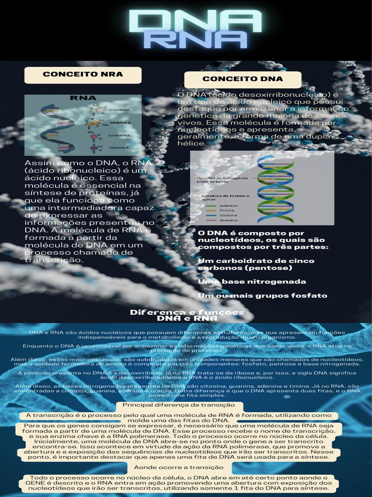 Dna Rna | PDF | RNA | DNA