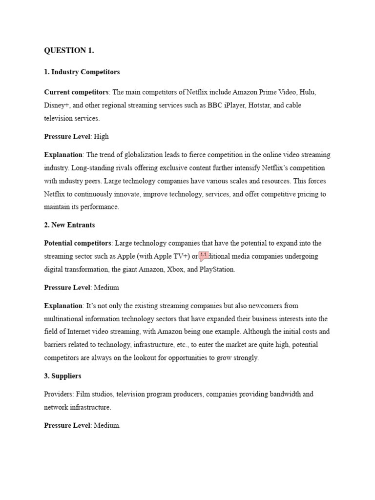 Case Study Netflix | PDF | Streaming Media | Netflix
