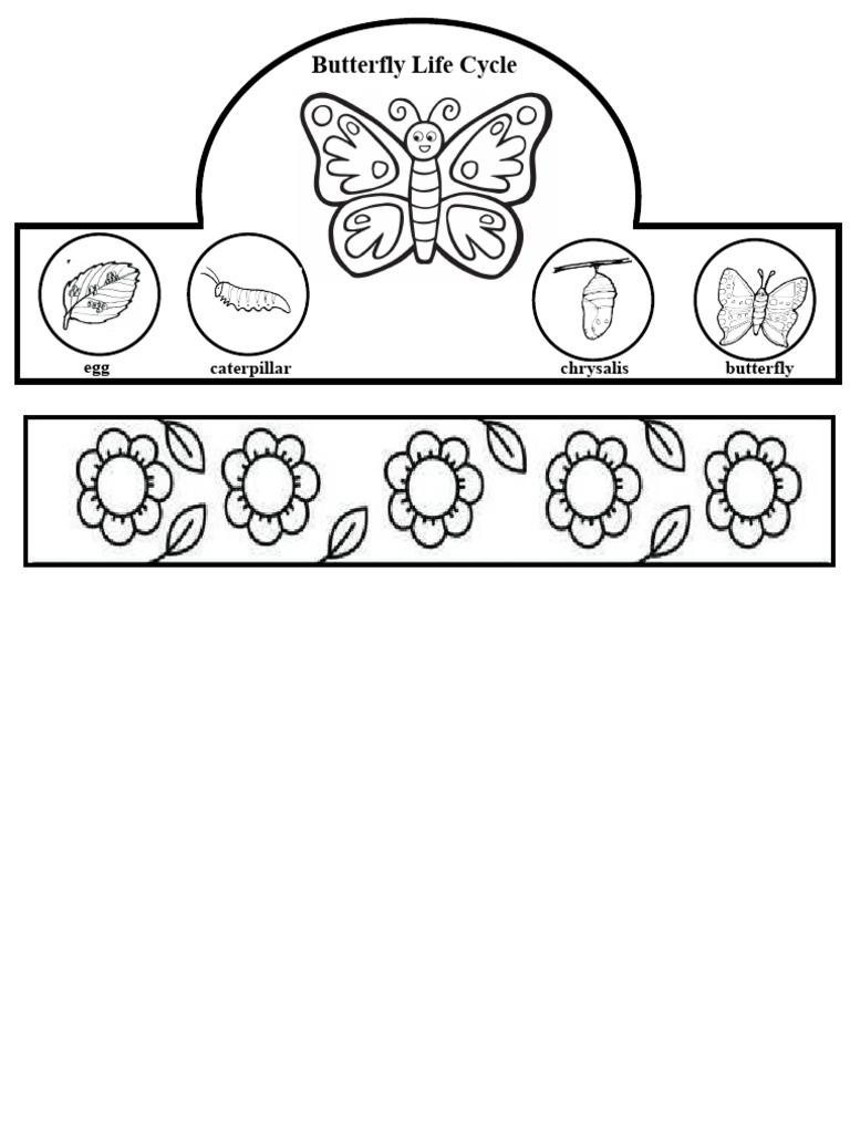 Butterfly Life Cycle | PDF