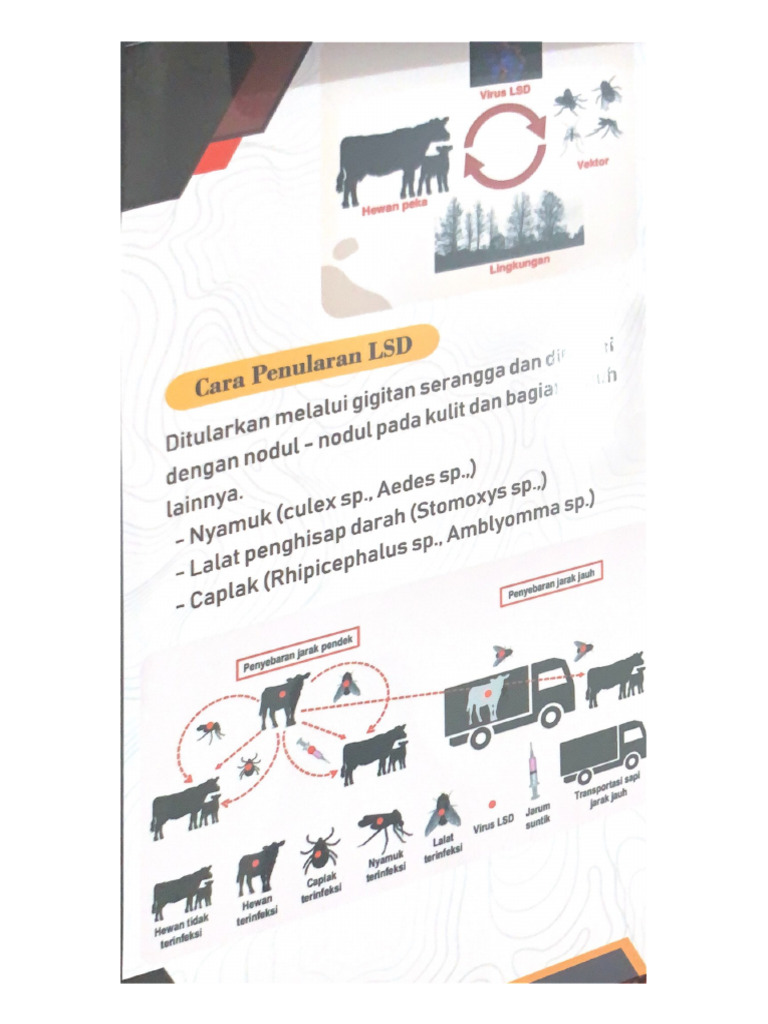 Cara Penularan LSD | PDF