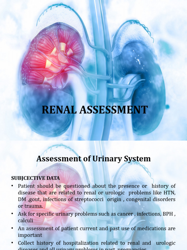 Comprehensive Renal Assessment Guide | PDF | Urinary Incontinence | Kidney