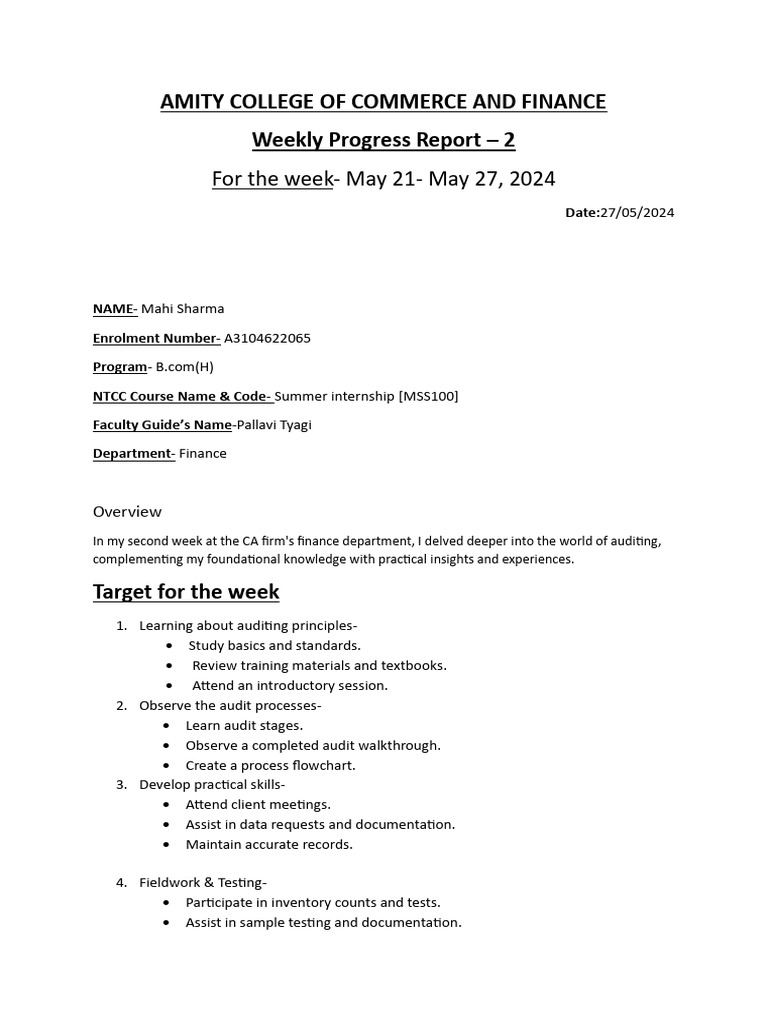 Weekly Progress Report 2 | PDF | Audit | Business