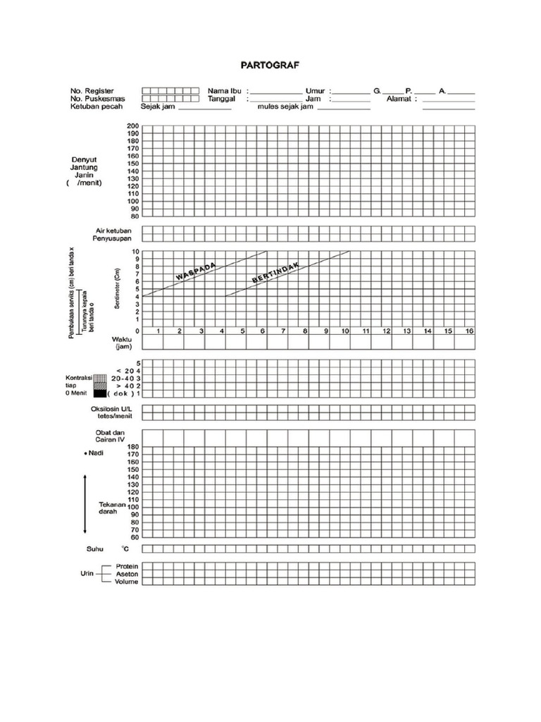 Lembar Partograf Kosong 12 PDF Free | PDF