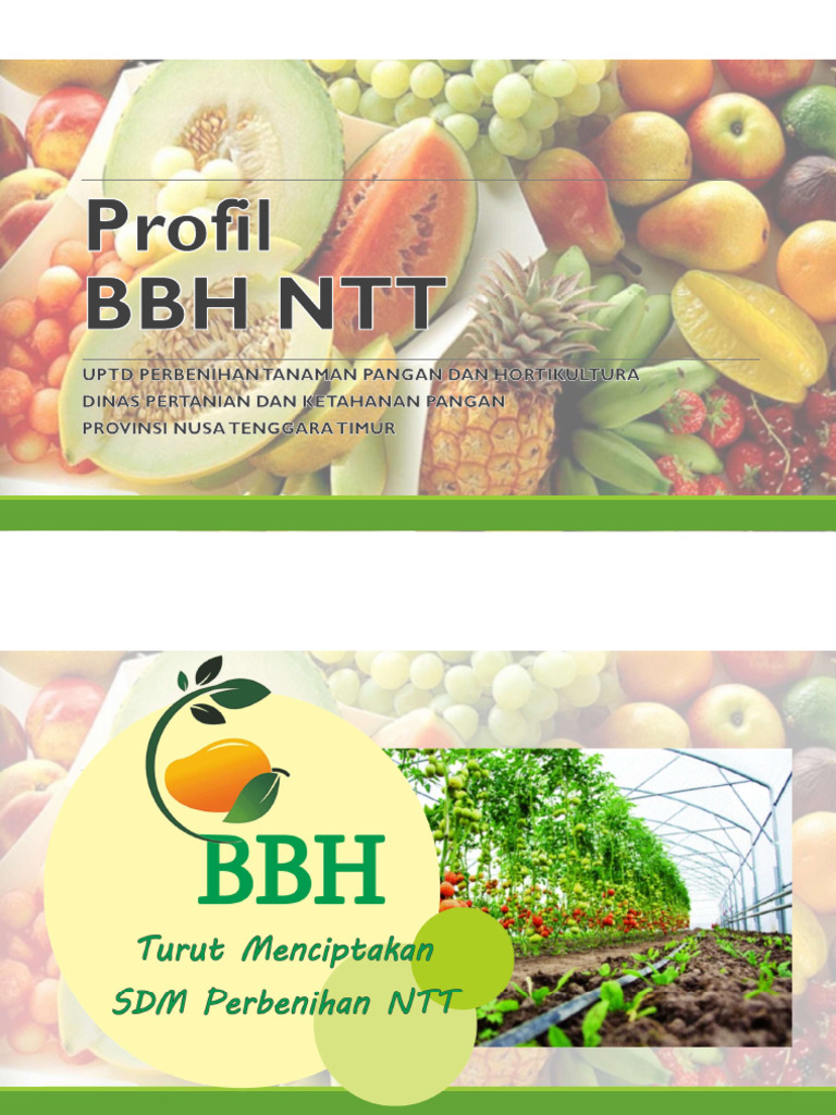 BBH NTT | PDF