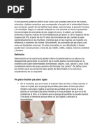 Evaluación del Ángulo de Costa-Bertani | PDF | Pie | Enfermedades y ...