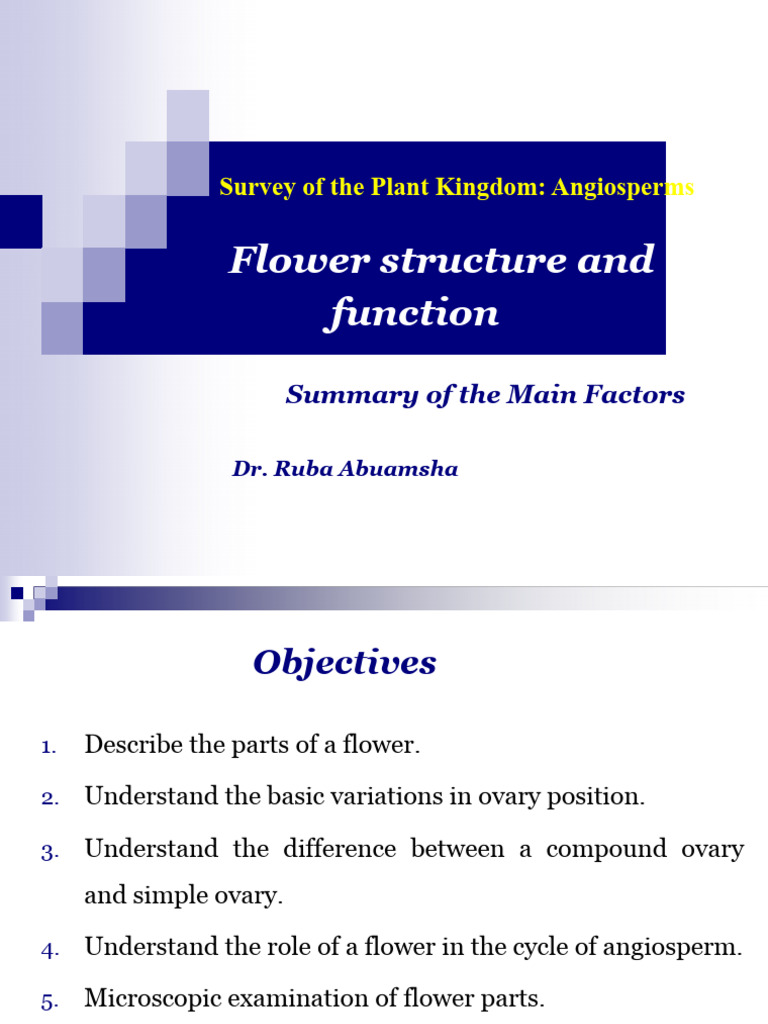 Flower Structure and Function Dr. Ruba | PDF | Flowers | Petal