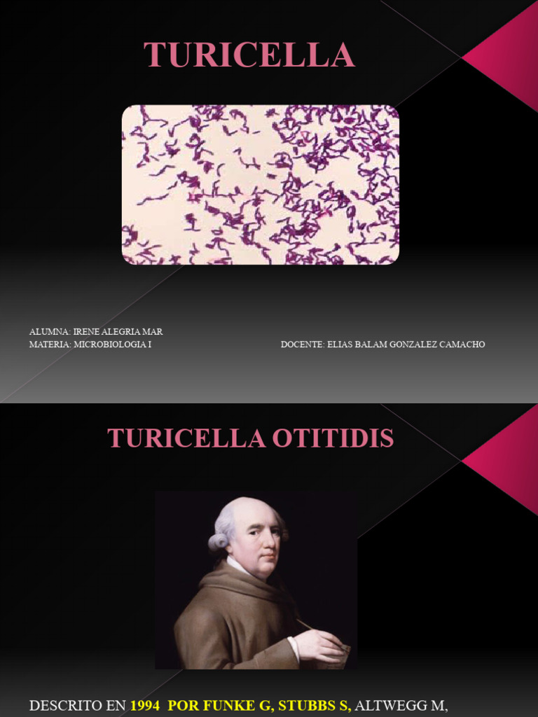 Turicella otitidis: Causas y Tratamiento | PDF | Especialidades Medicas ...