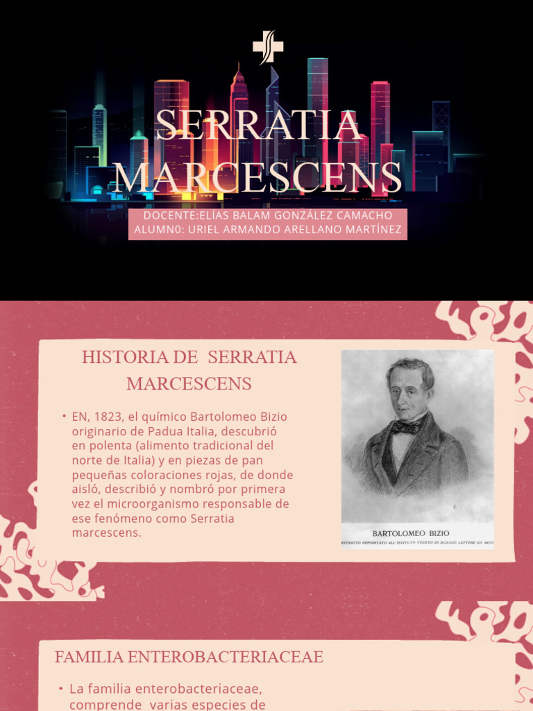 Características de Serratia marcescens | PDF | Las bacterias | Infección