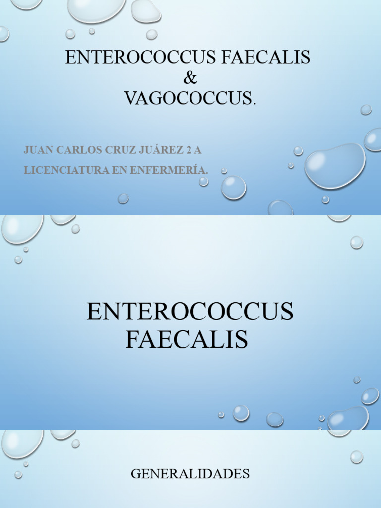 Enterococcus Faecalis y Vaggococcus 2 bacterias características huésped método de transmisión ...