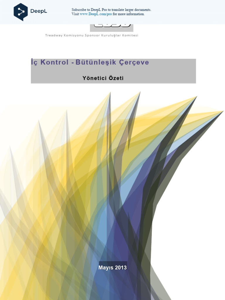 Framework-Executive-Summary TR | PDF