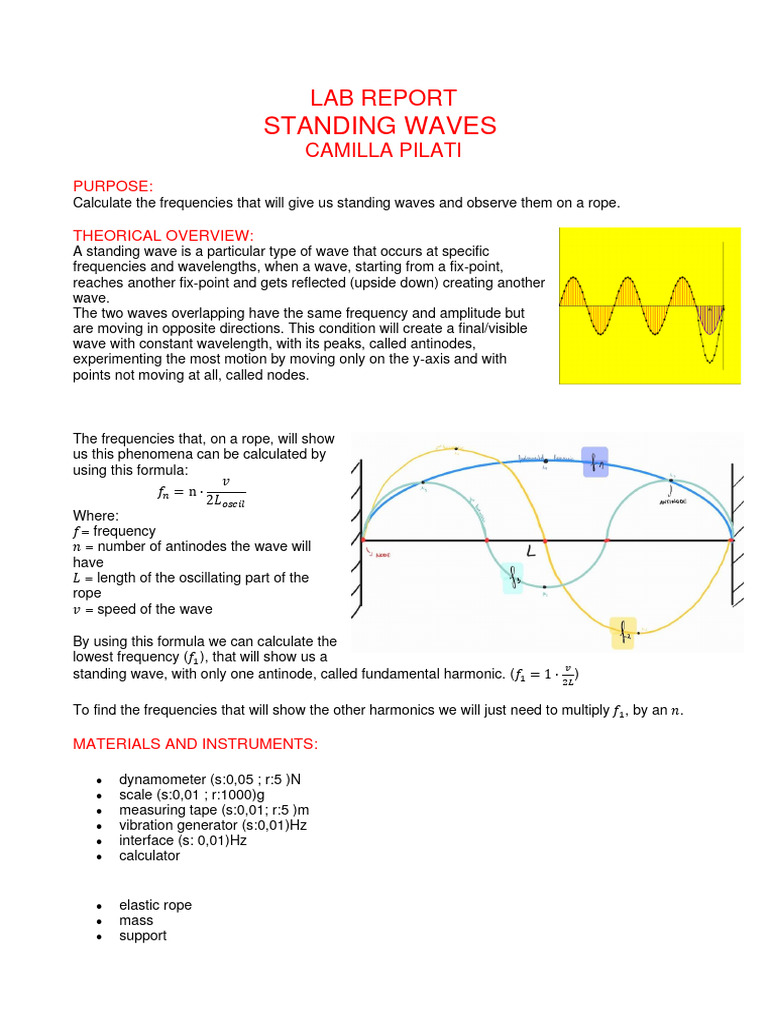 Camilla Pilati Stading Waves-Lab - Report | PDF | Waves | Frequency